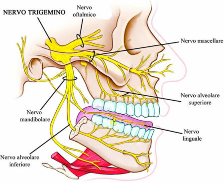 Paresthesia following dental work: when it can occur